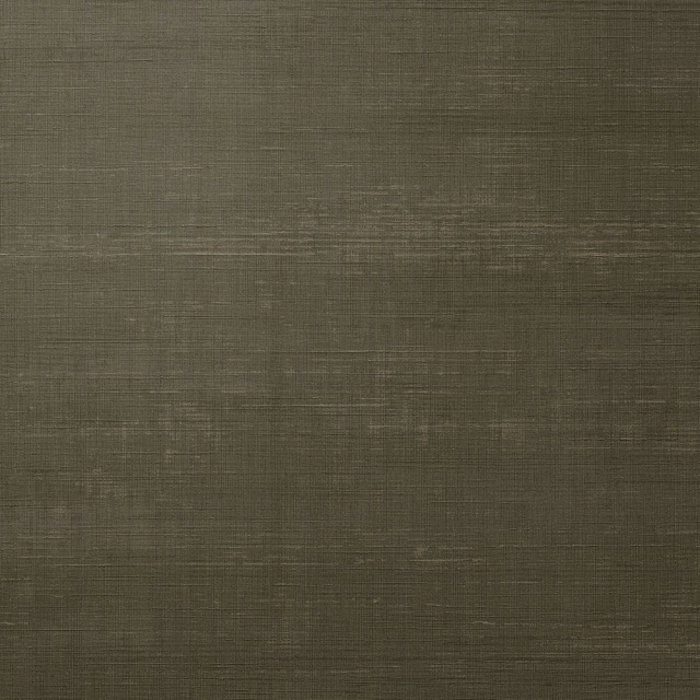 Burnished Silk - Spanish Moss - Momentum Textiles and Wallcovering