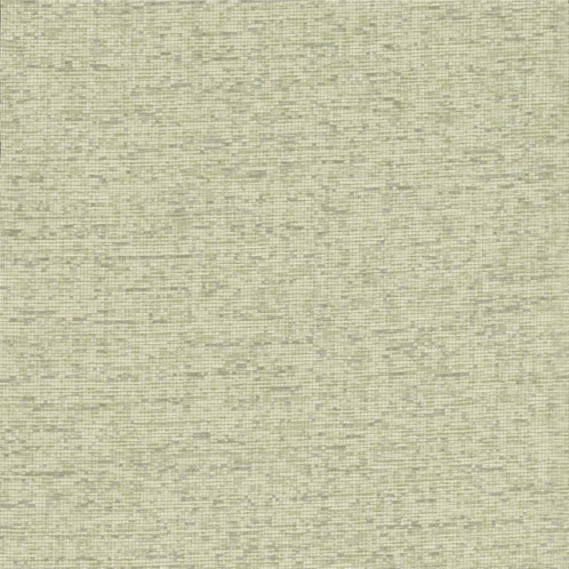Jitterbug WC - Green Eyes - Momentum Textiles and Wallcovering