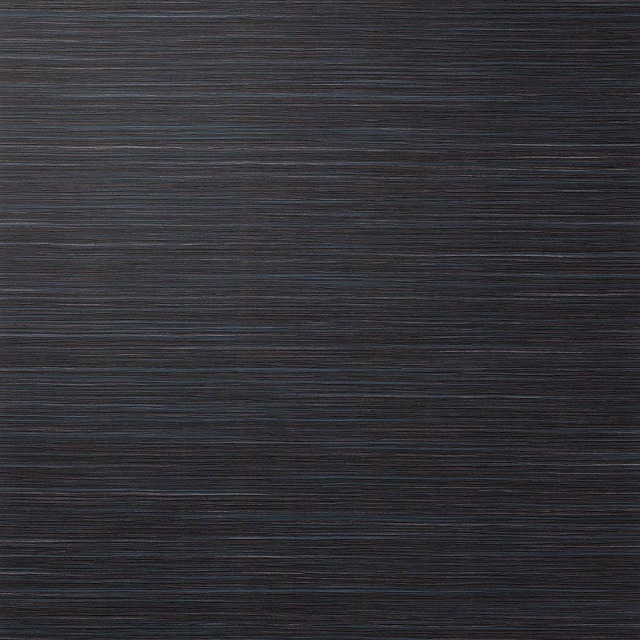 Lithic Texture - Jet Black - Momentum Textiles and Wallcovering