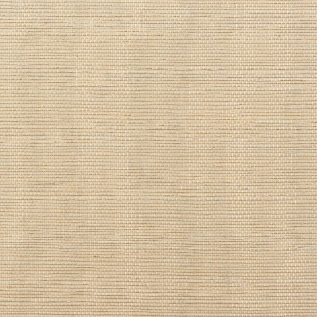 Sisal - Craft - Momentum Textiles and Wallcovering
